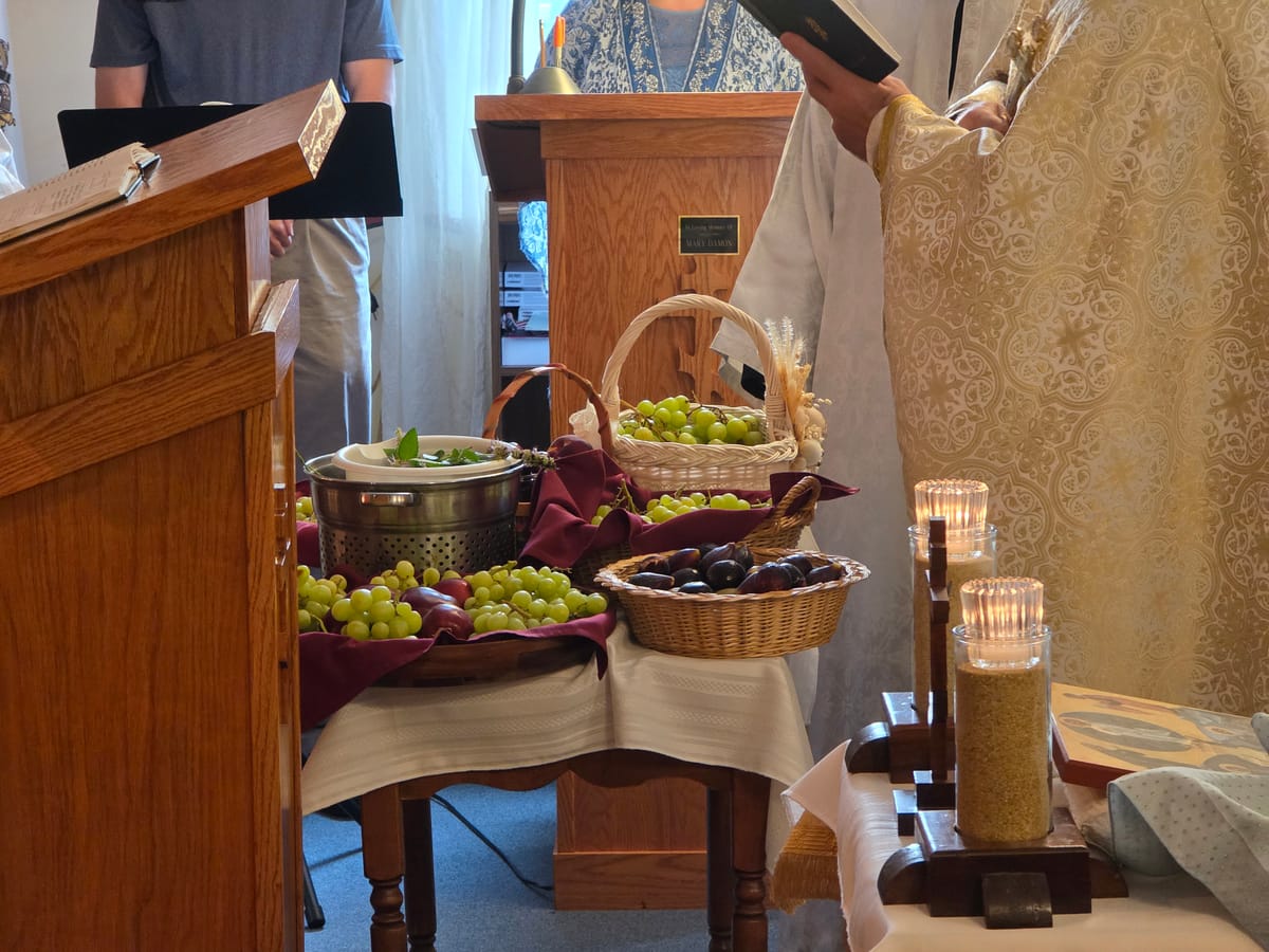 9th Sunday after Pentecost and Transfiguration Fruit Blessings